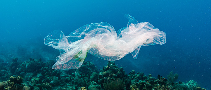 What are the solutions for combatting ocean pollution?